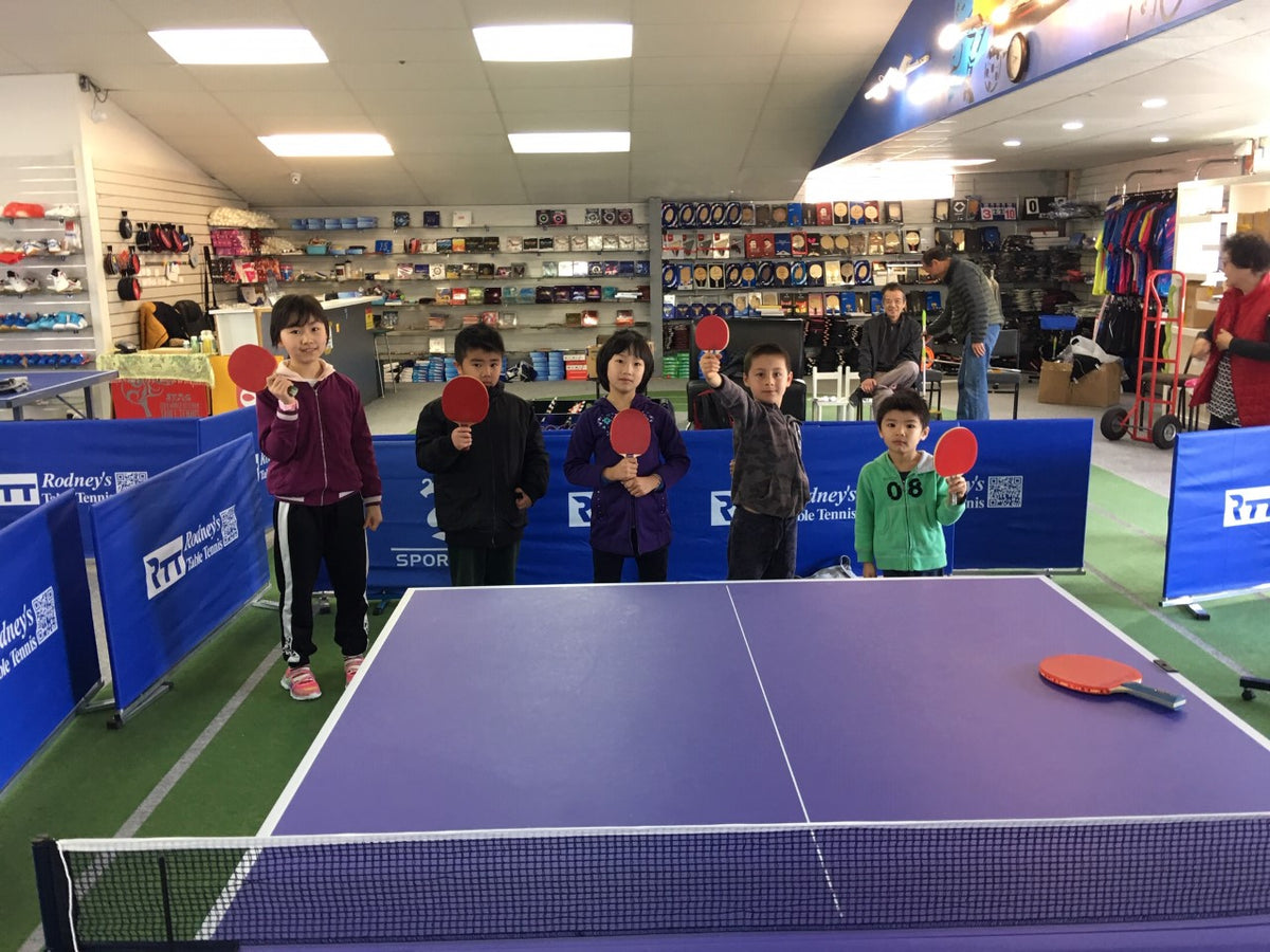 Table Tennis Coaching Lessons – Rodney's Table Tennis